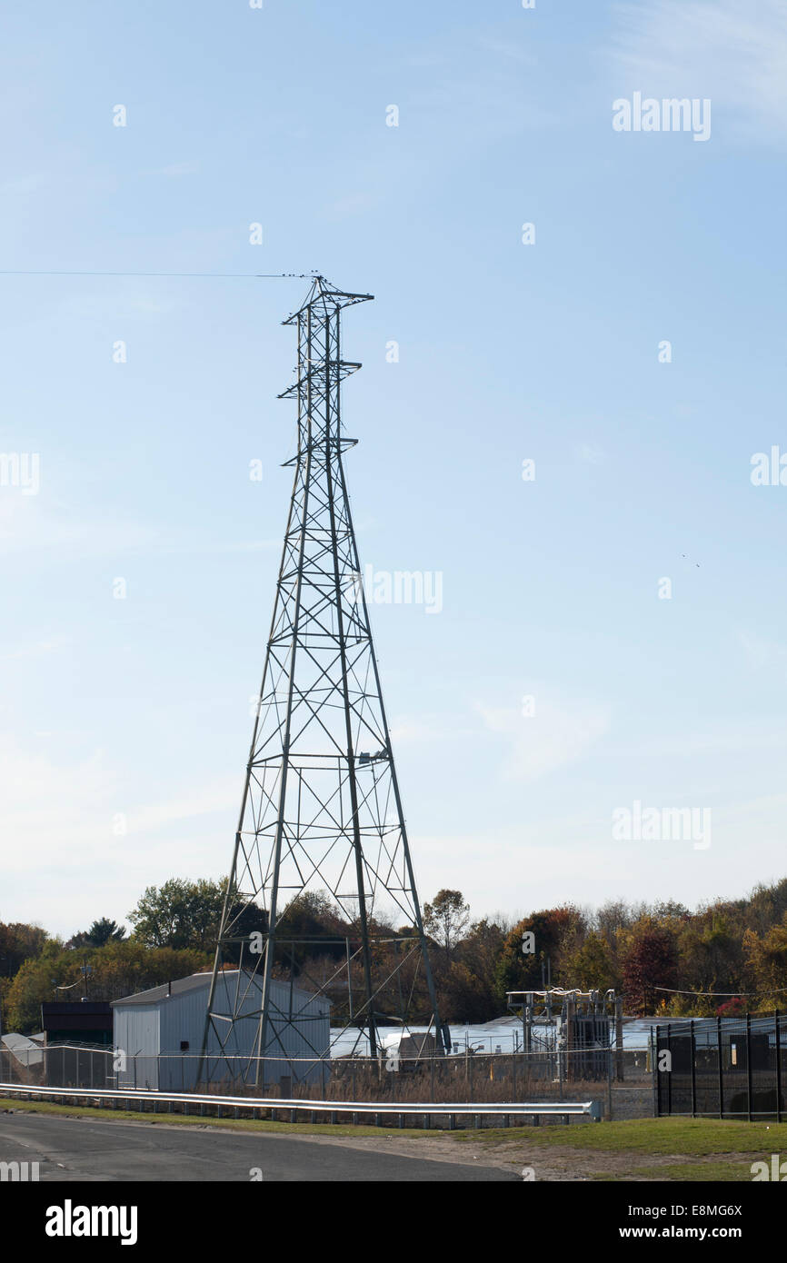 An transmission tower is loaded with birds but has only one line ...