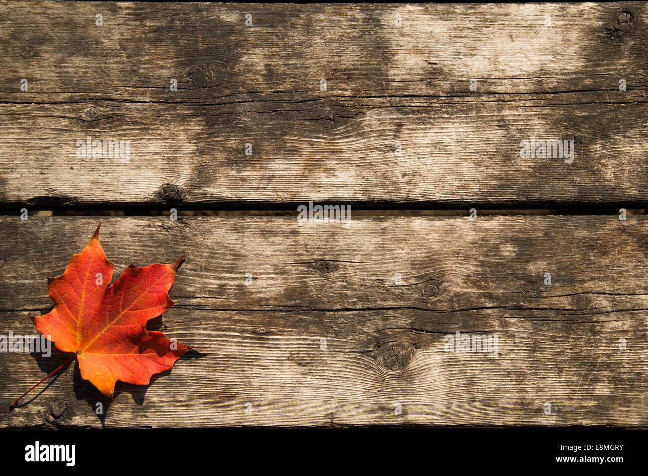 Wood texture background contrasting hi-res stock photography and images ...
