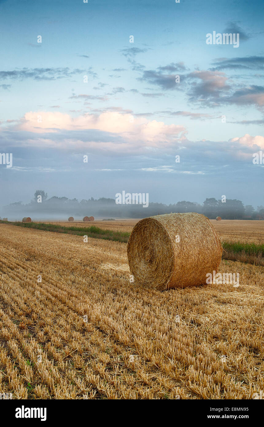 Norfolk morning with round hay bales Stock Photo - Alamy