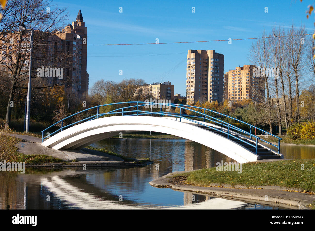 Gold in the forest hi-res stock photography and images - Alamy