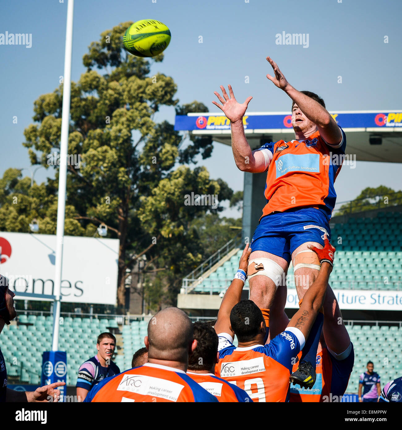 Sydney, AUSTRALIA - October 11, 2014: Greater Sydney Rams win a line ...