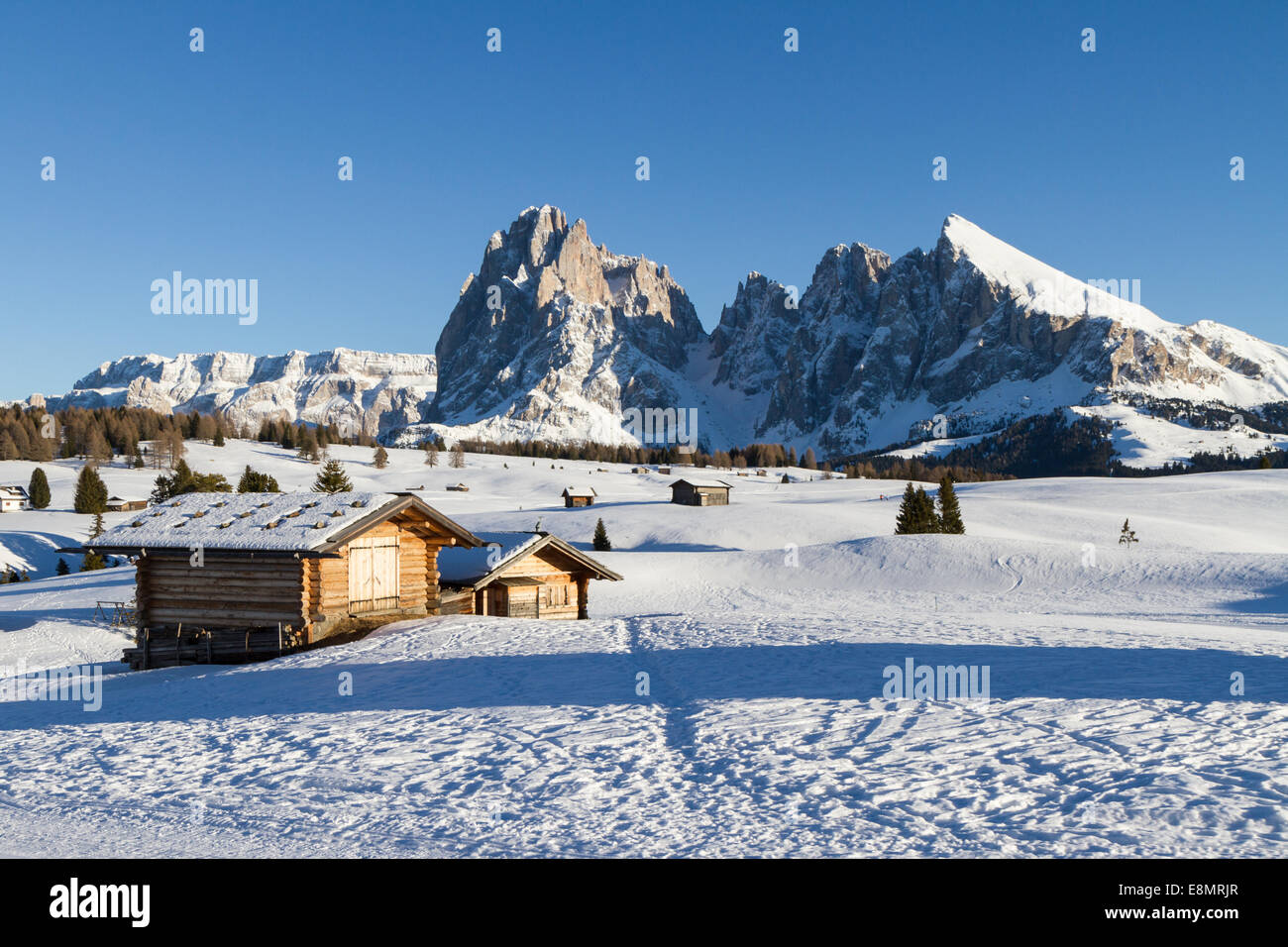 Huts on Seisser Alm, Italy, Sasslong Mountain in background Stock Photo ...