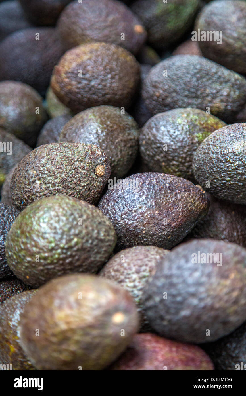 Avocados on the market in Agadir, Morocco Stock Photo - Alamy