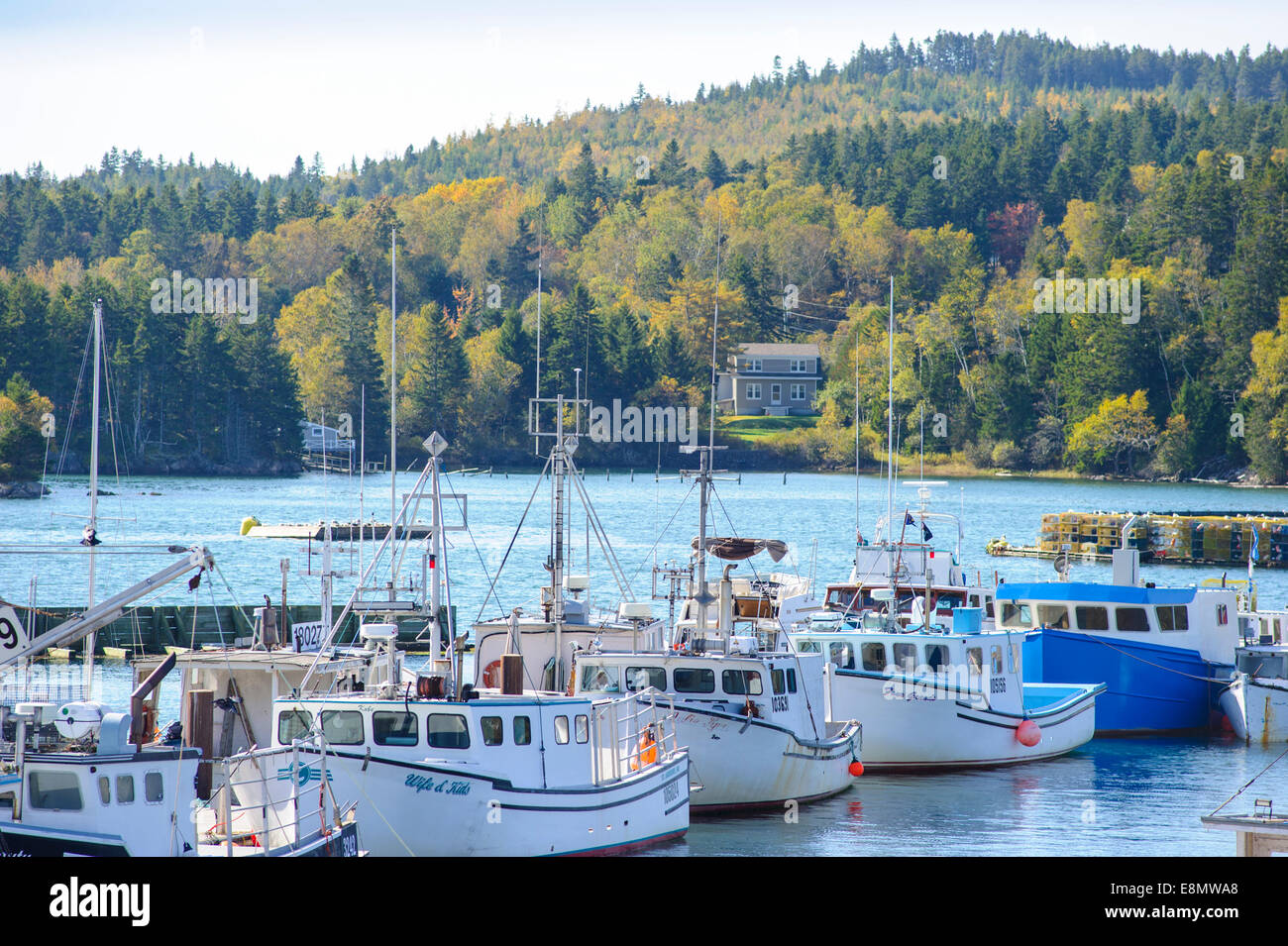 Deer island hi-res stock photography and images - Alamy