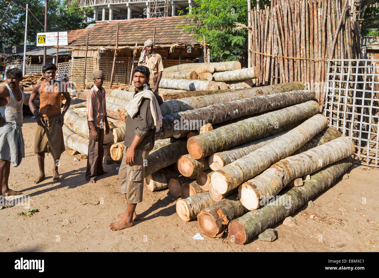 MADURAI INDIA THE MEN WHO SHIFT AND LOAD THE TIMBER AND TREE TRUNKS ...