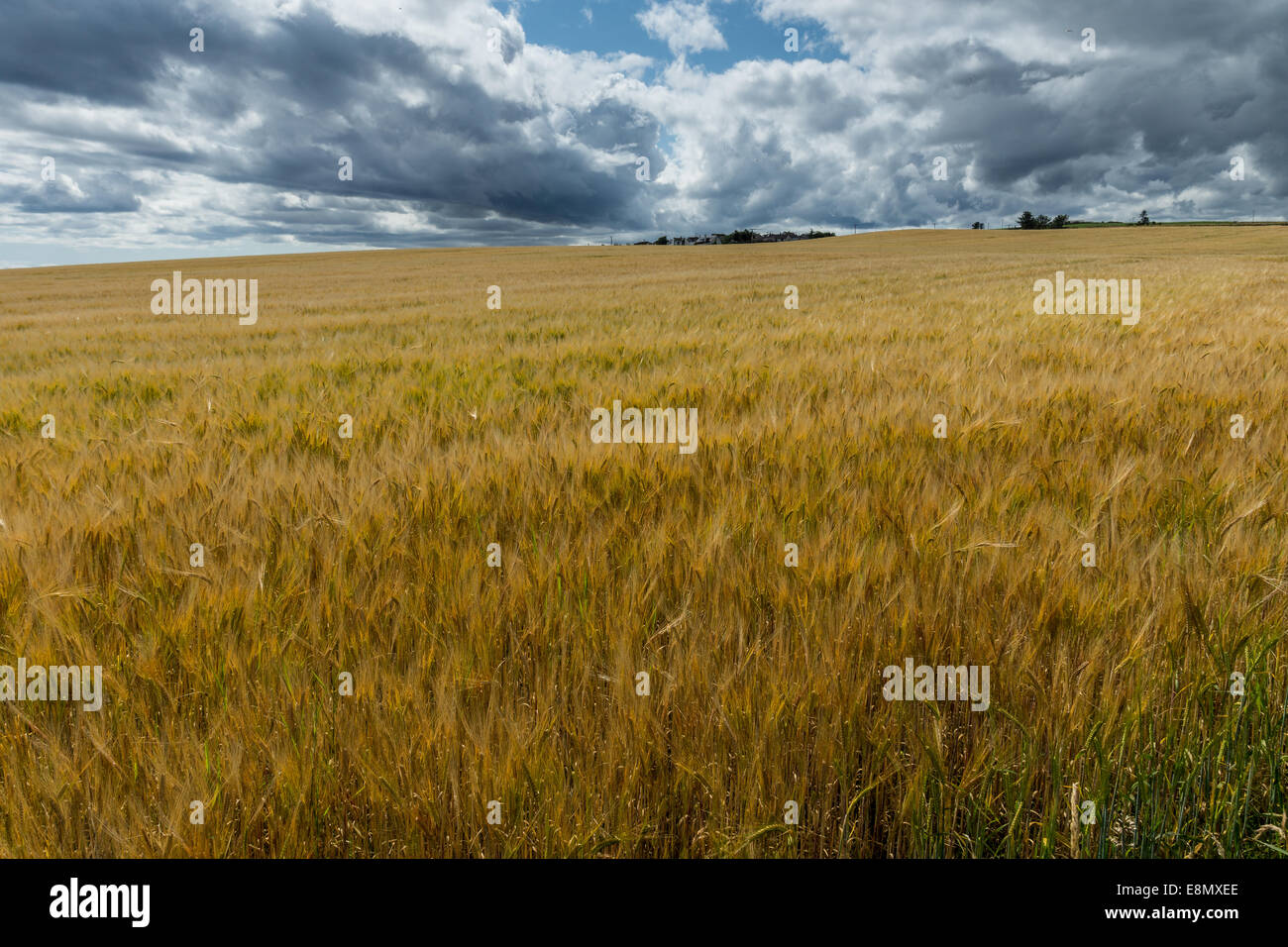 Portlethen village hi-res stock photography and images - Alamy