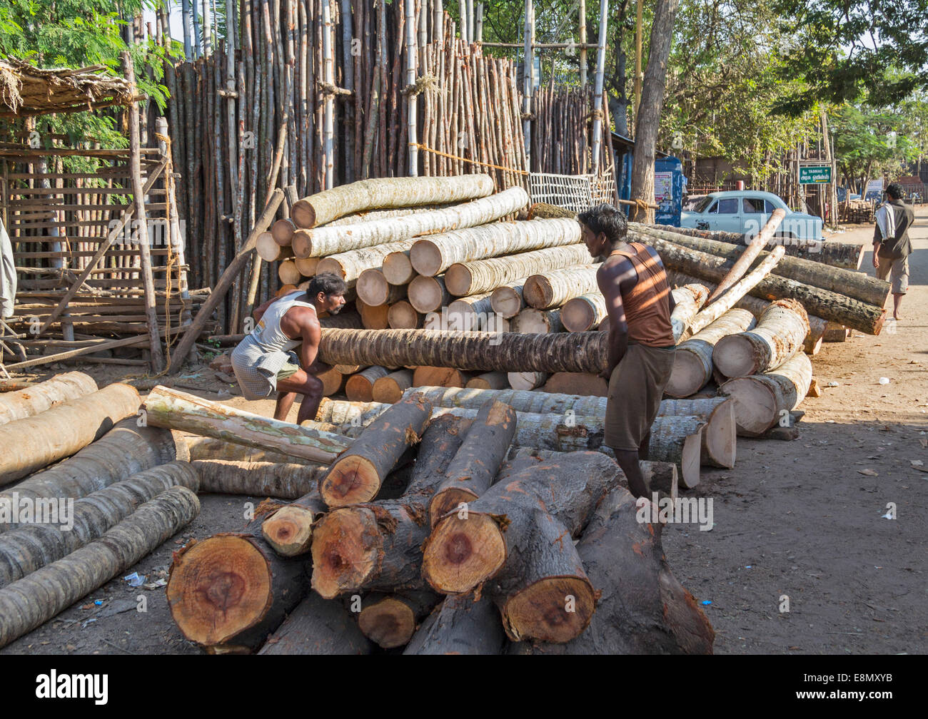 SOUTHERN INDIA MADURAI TIMBER WORKERS LIFTING AND MOVING HEAVY TREE ...