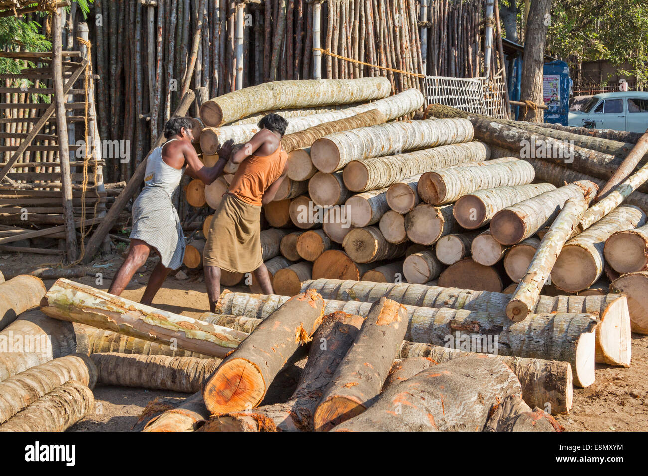 SOUTHERN INDIA MADURAI TIMBER WORKERS STACKING HEAVY TREE TRUNKS IN A ...