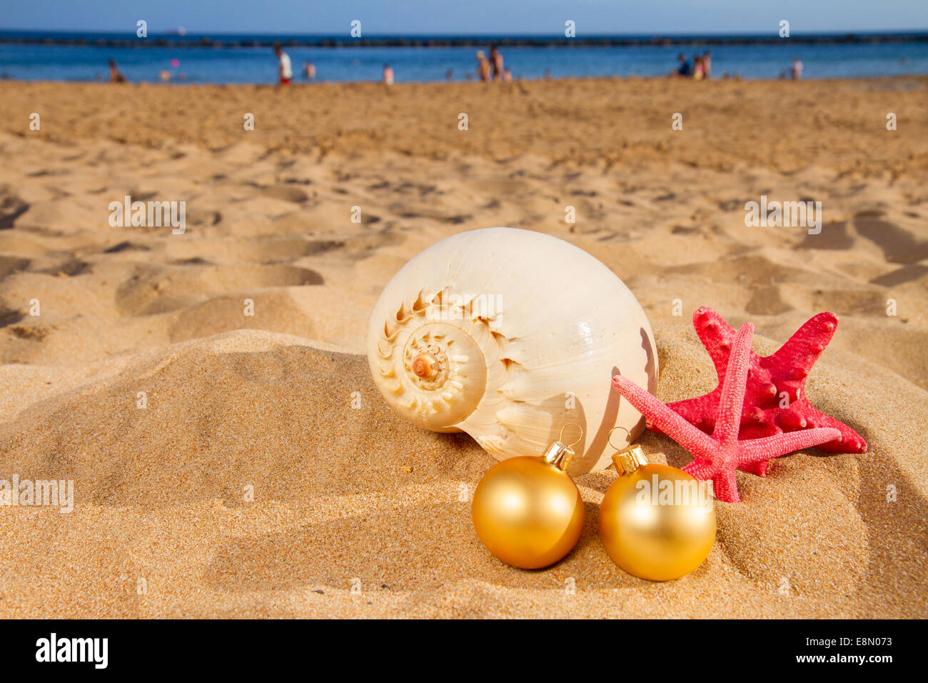shells and christmas decorations on beach Stock Photo - Alamy