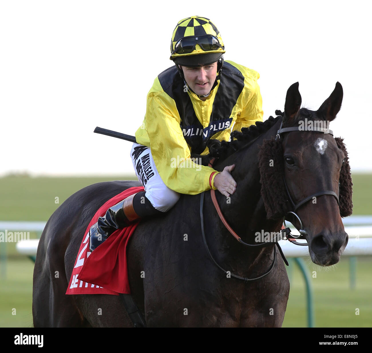 Cesarewitch hi-res stock photography and images - Alamy