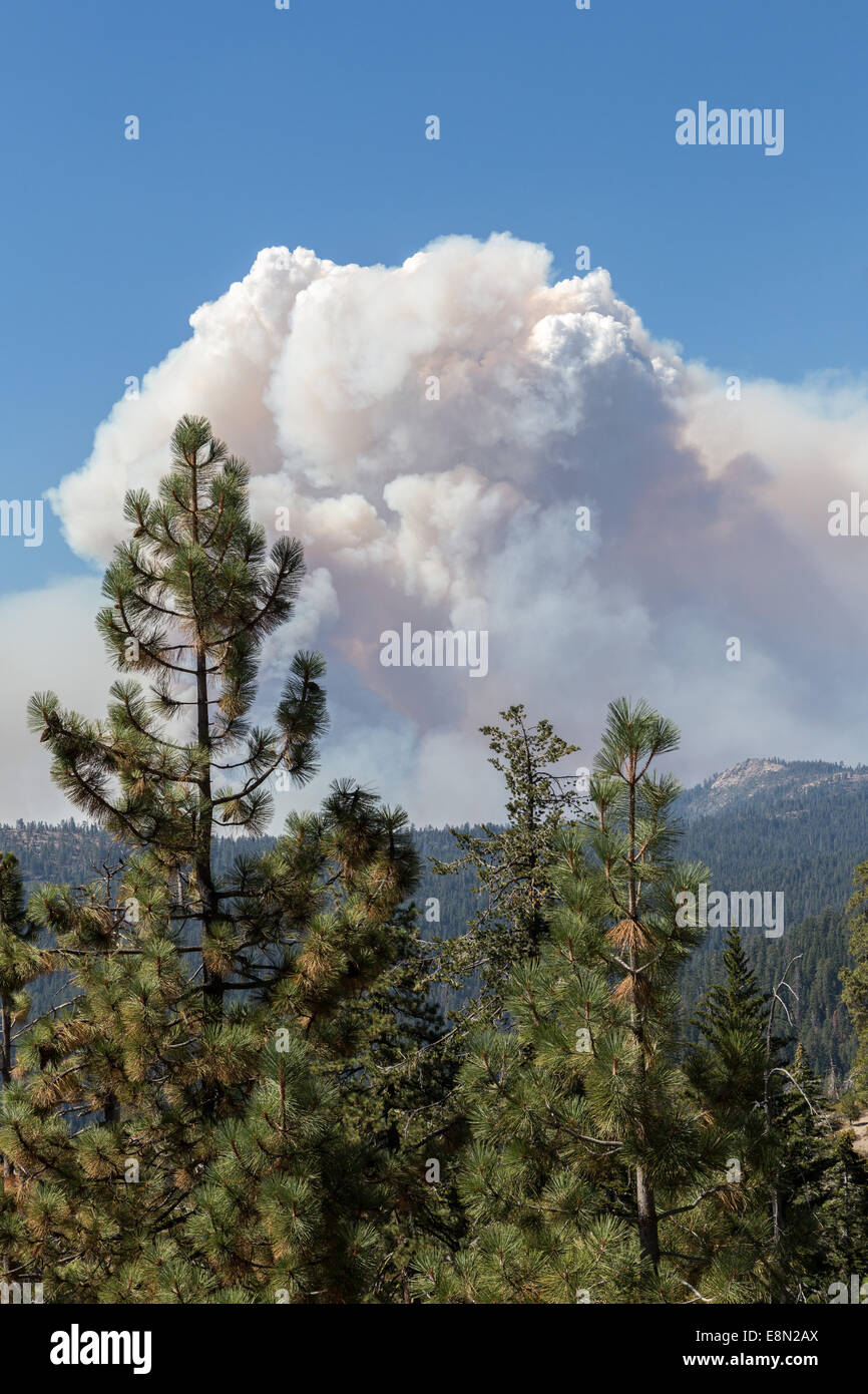 Bushfire hill hi-res stock photography and images - Alamy