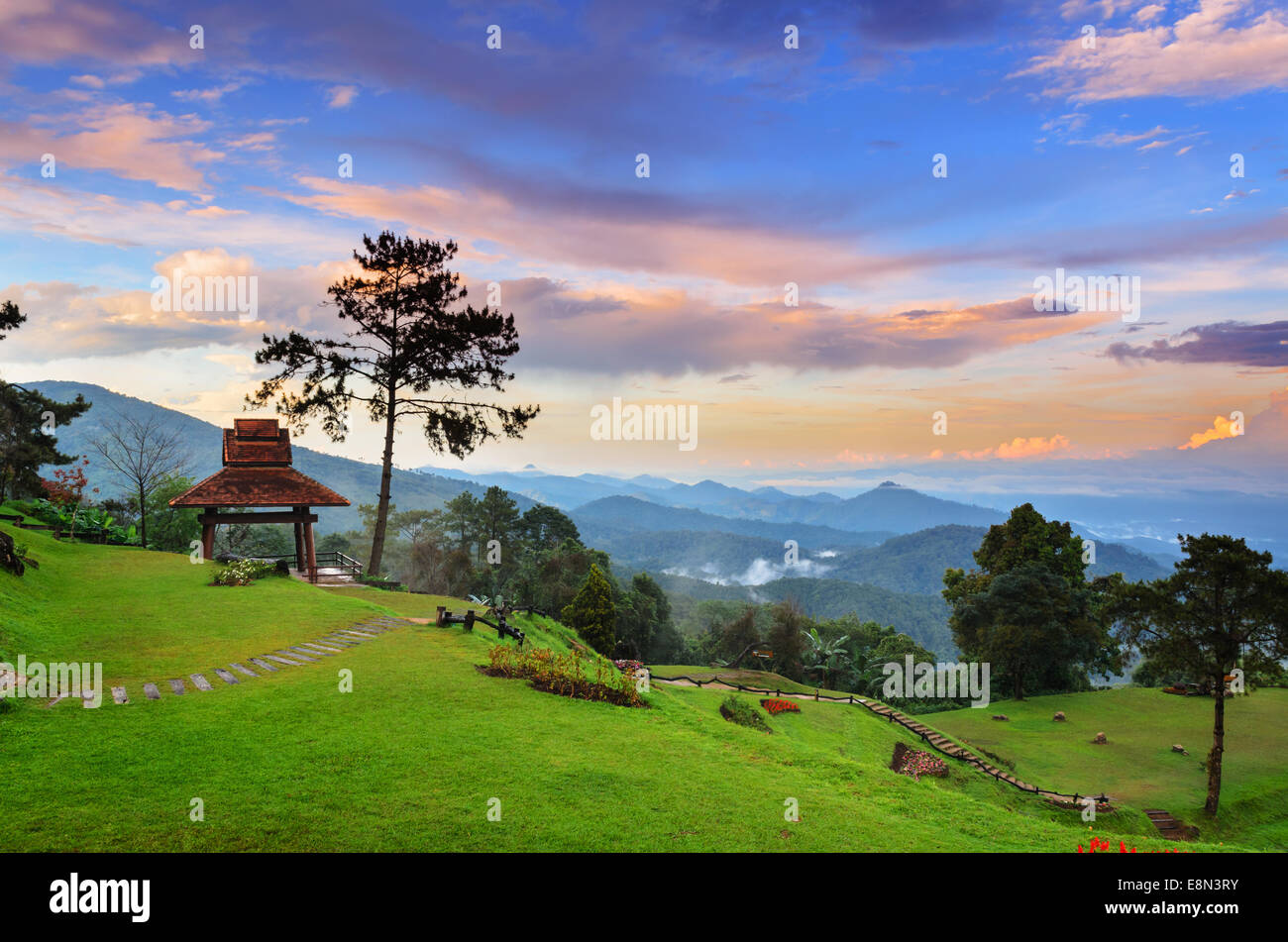 Nam nam tree hi-res stock photography and images - Alamy
