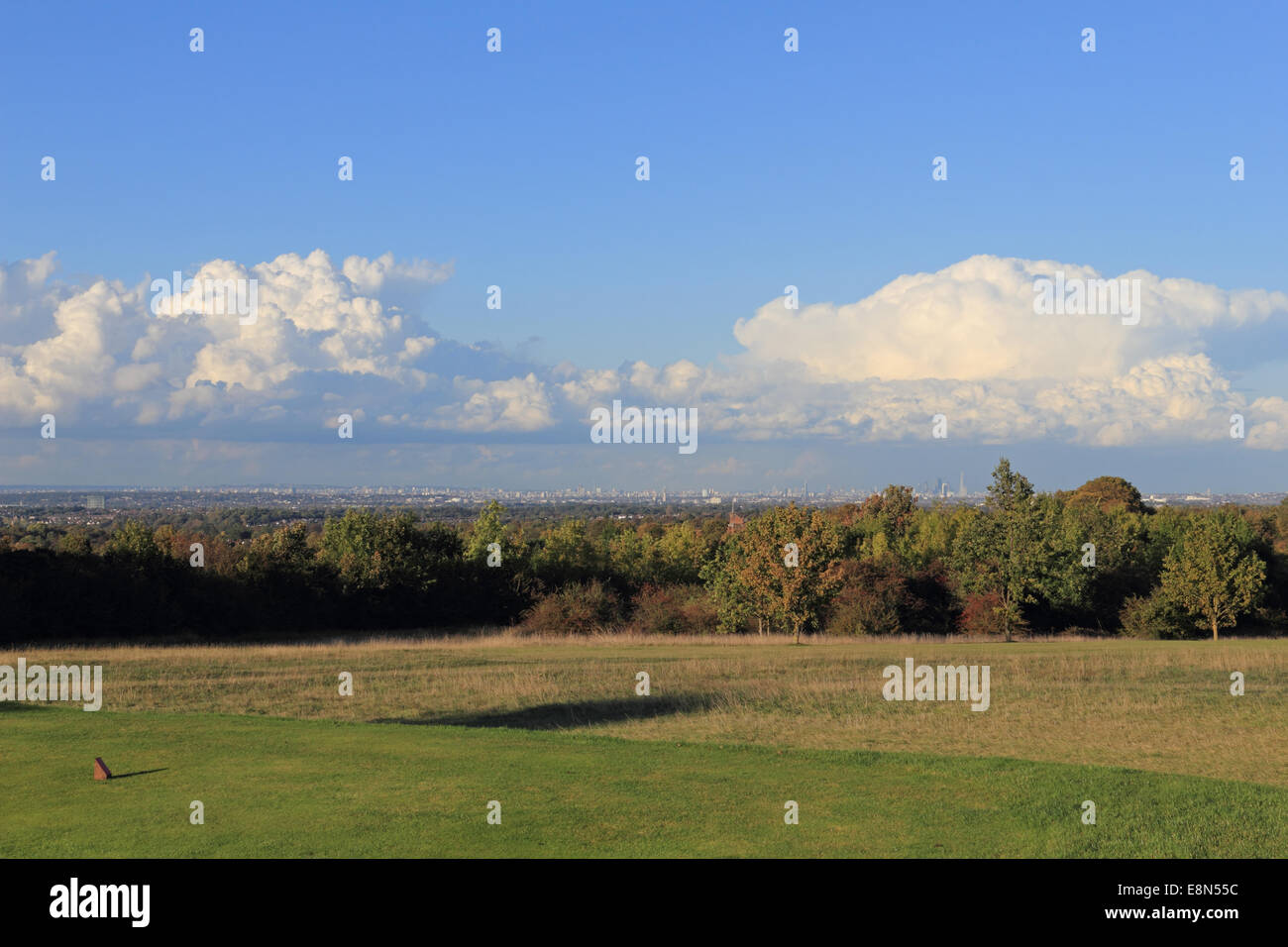 View london skyline from epsom hi-res stock photography and images - Alamy