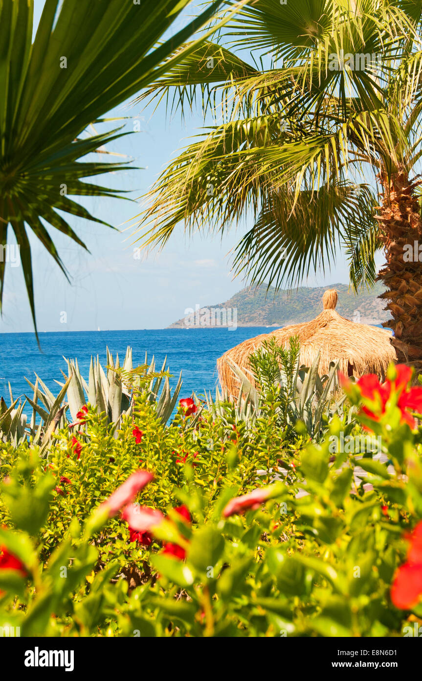 Paradise of Turkey: sea, palm trees, exotic flowers Stock Photo - Alamy