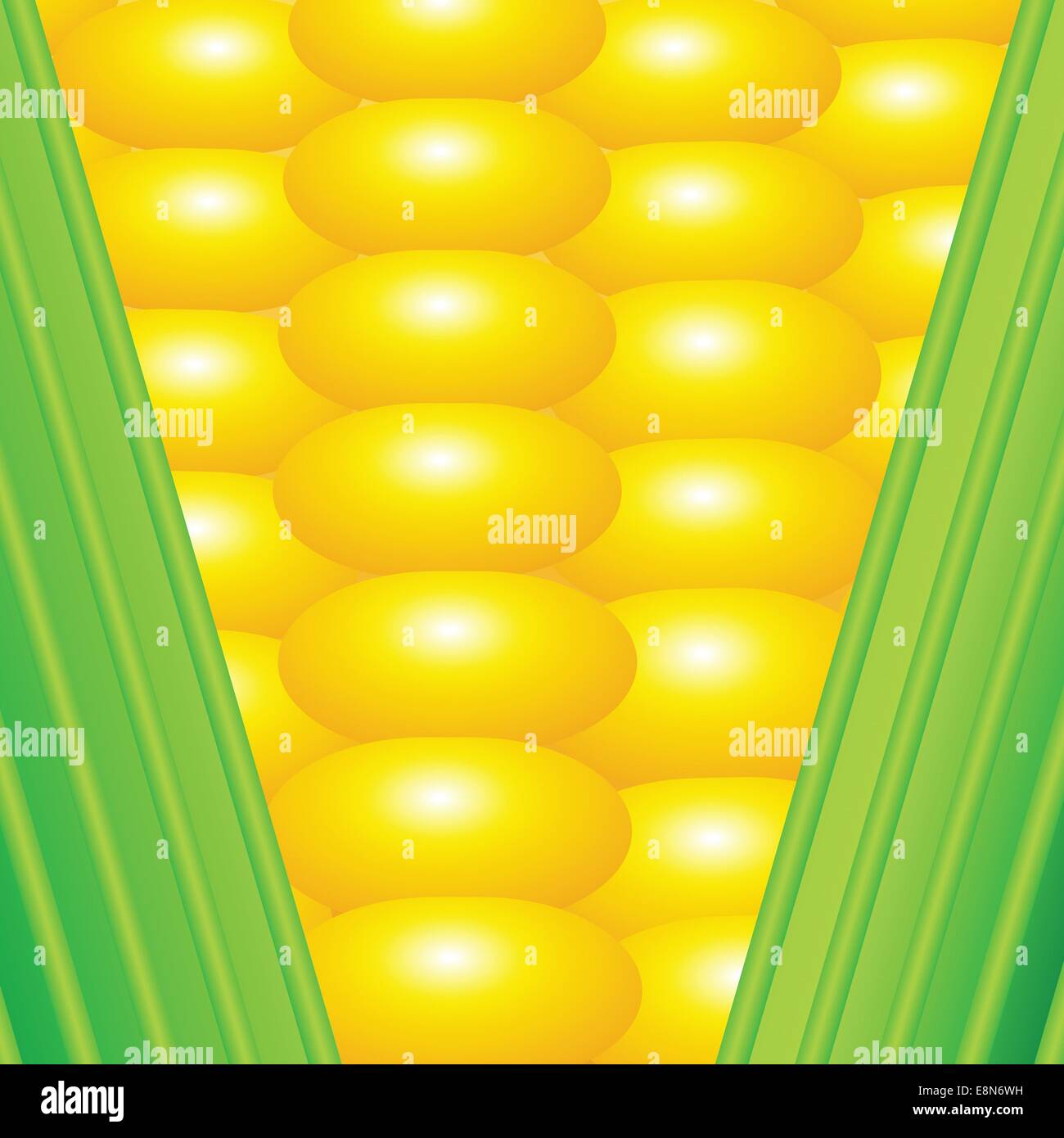 colorful illustration with an ear of corn for your design Stock Photo ...