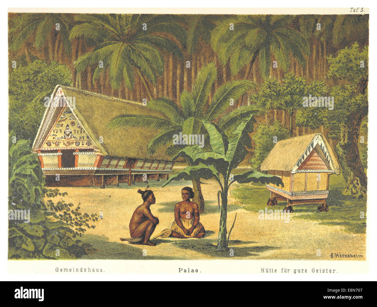 Palao hi-res stock photography and images - Alamy