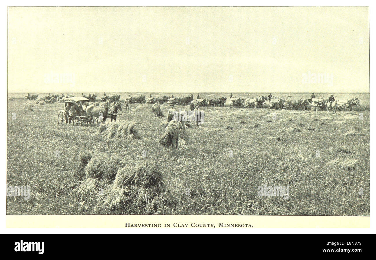 An 1893 illustration depicting the harvest season in Clay County ...