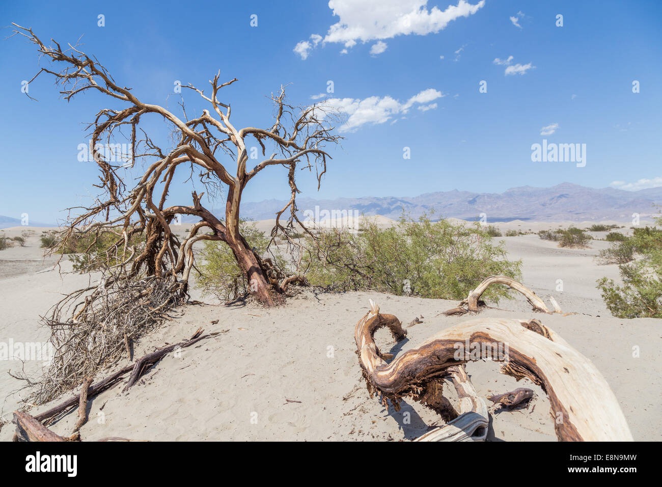Mesquite Flat Sand Dunes in the Death Valley, mojave desert in ...