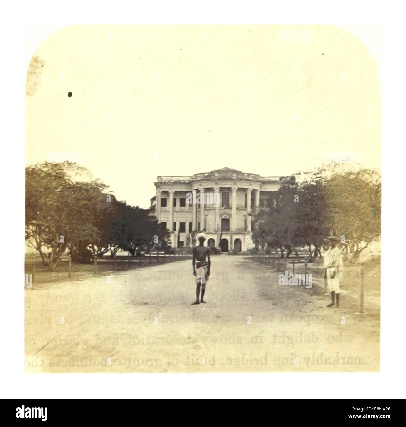 Same photo Cut Out Stock Images & Pictures - Alamy