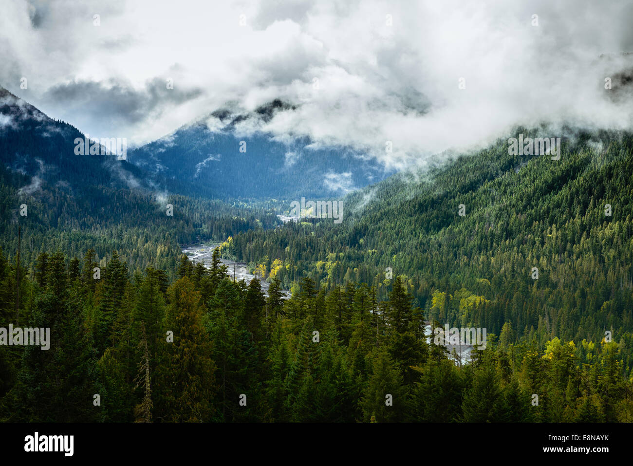 Mount Renier National Park Stock Photo - Alamy