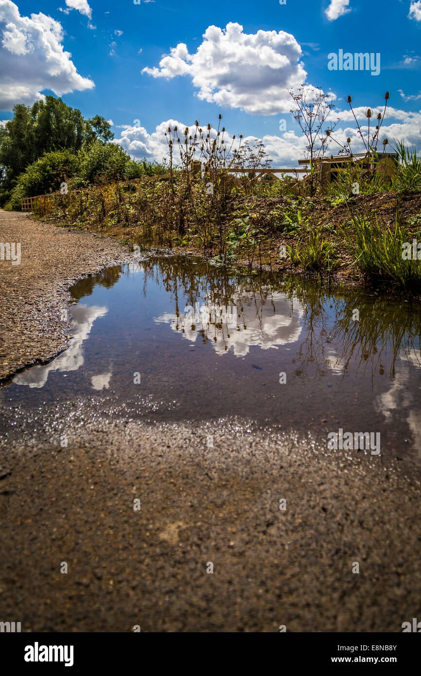 Cloud reflecting in puddle hi-res stock photography and images - Alamy