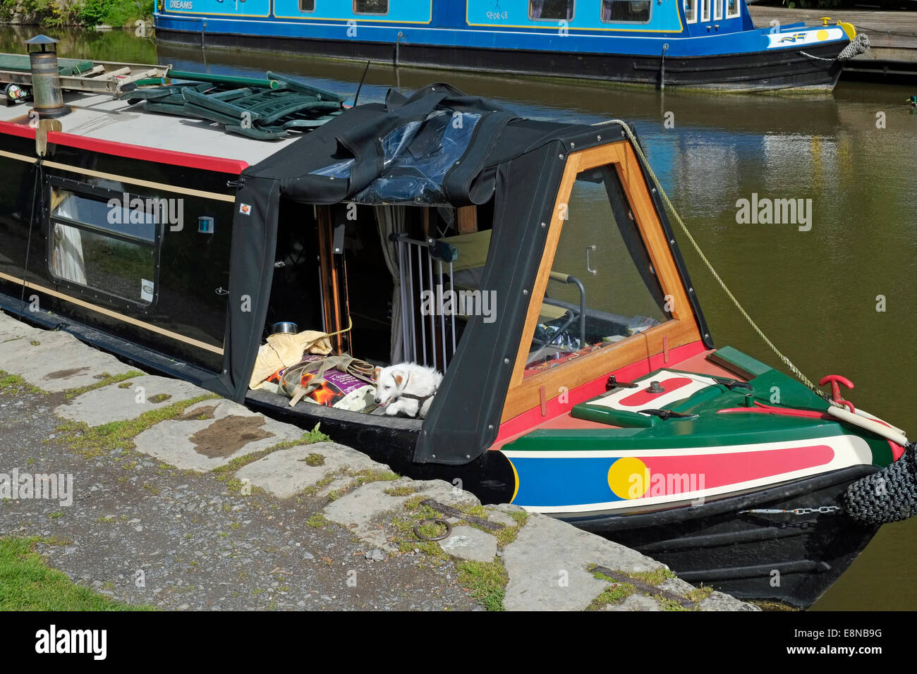 A dog on a narrowboat moored at Pewsey Wharf, Kennet and Avon Canal ...