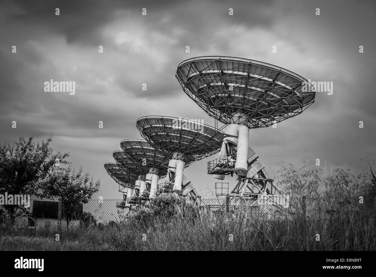 Radio telescope satellite dish array in a barley field before a storm ...