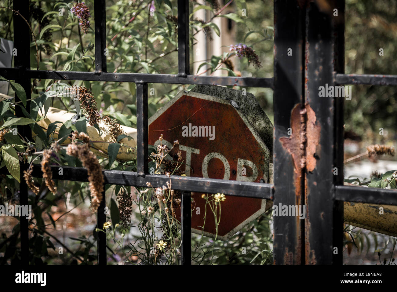 A battered and decaying, red and white stop sign behind a rusty metal ...