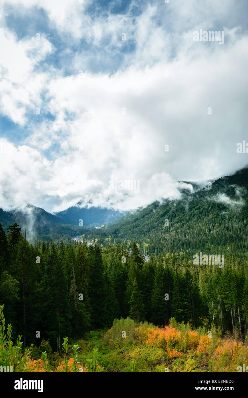Mount Renier National Park Stock Photo - Alamy