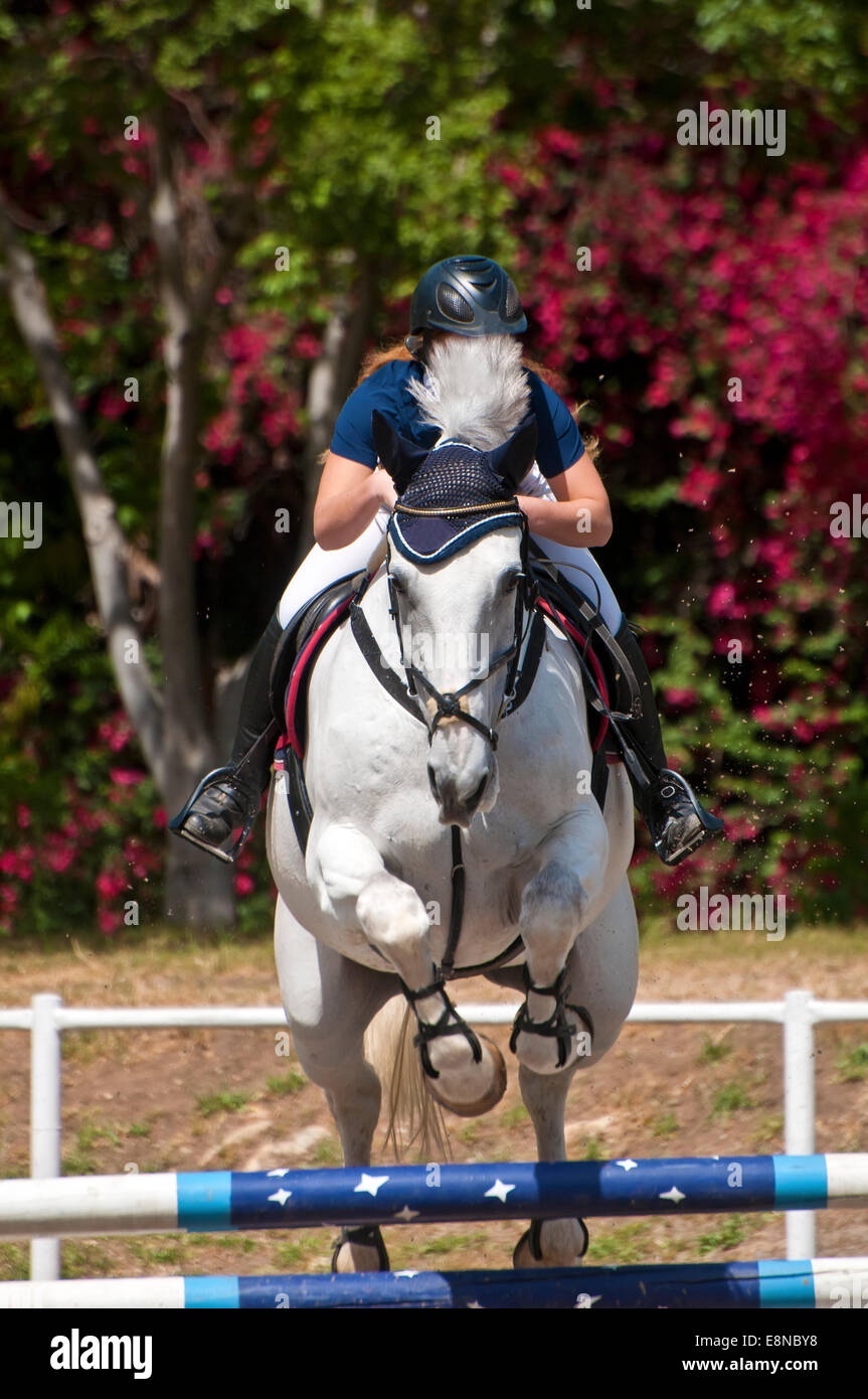 Horse Jumping High Resolution Stock Photography and Images - Alamy