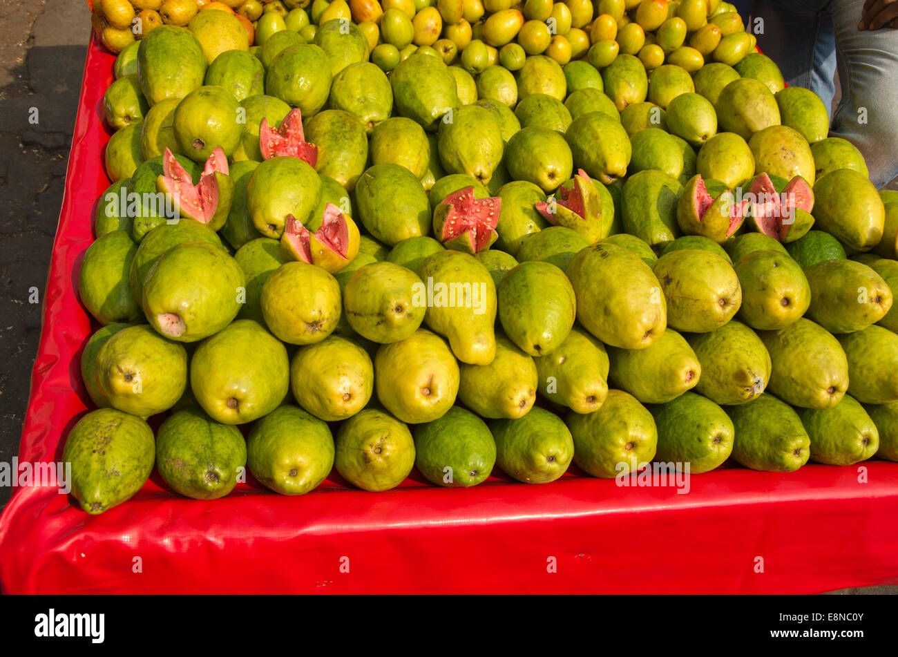 India guava fruits hi-res stock photography and images - Alamy