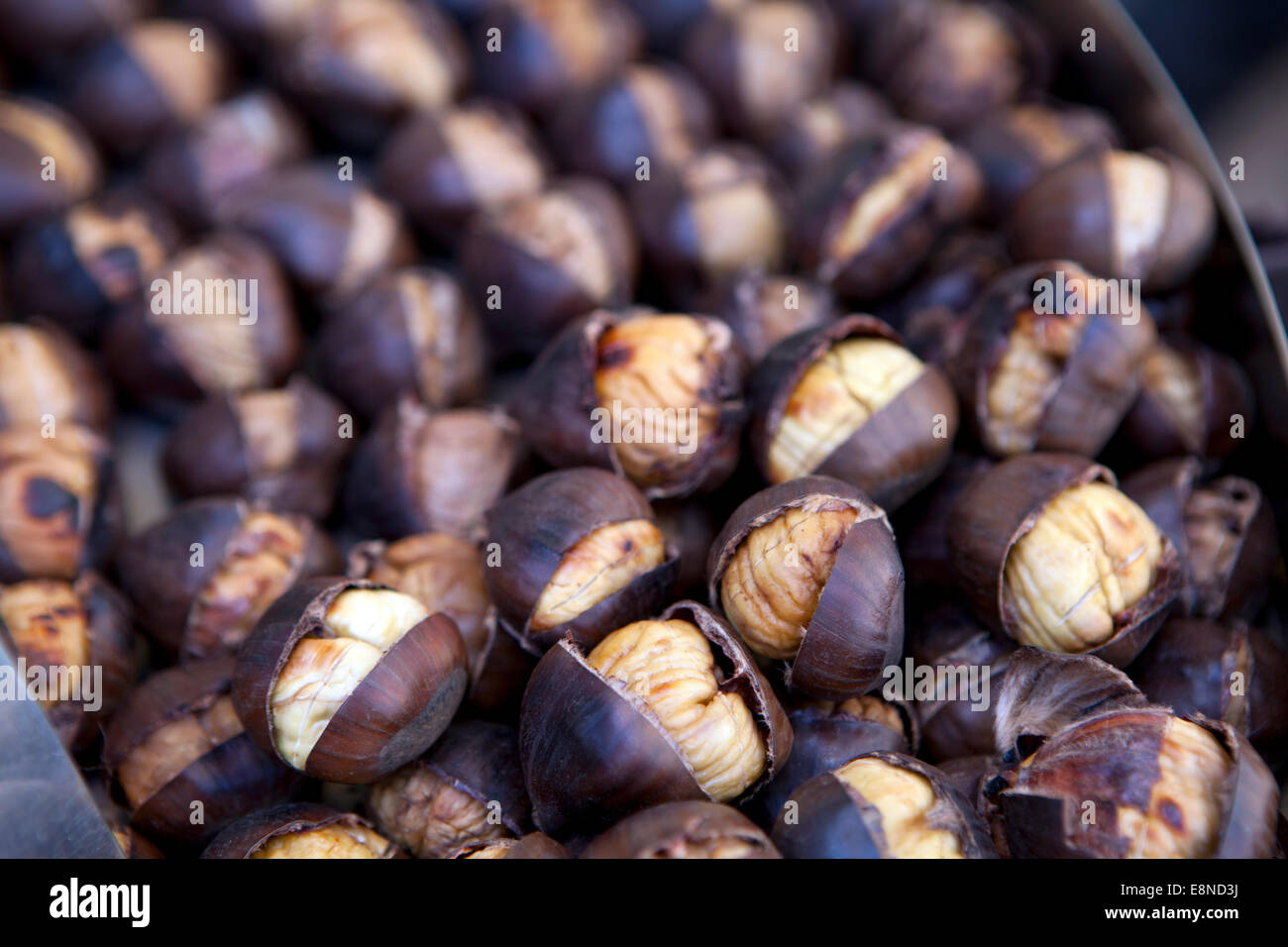 Culinary Delights of Italy Stock Photo - Alamy