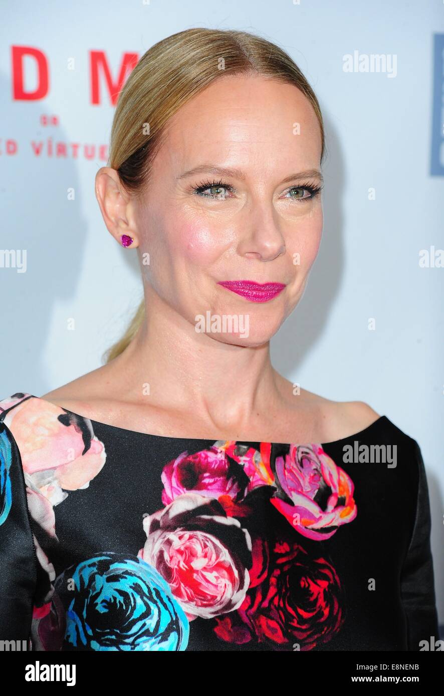 New York, NY, USA. 11th Oct, 2014. Amy Ryan at arrivals for BIRDMAN OR ...