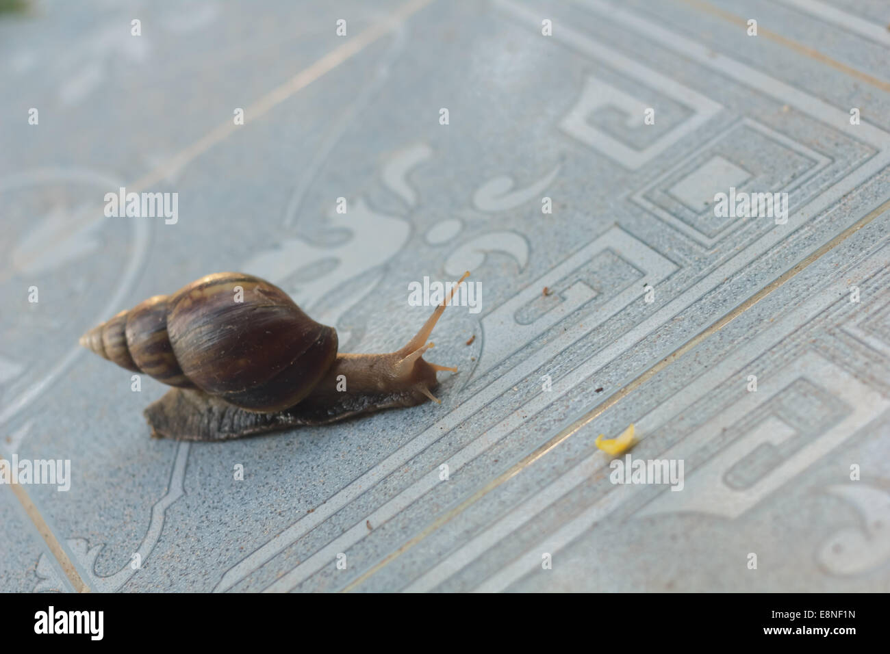 Small green tiles texture background hi-res stock photography and ...