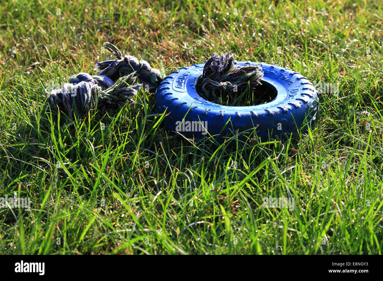 The rubber used in the manufacturing of the tyres is 100 percent ...