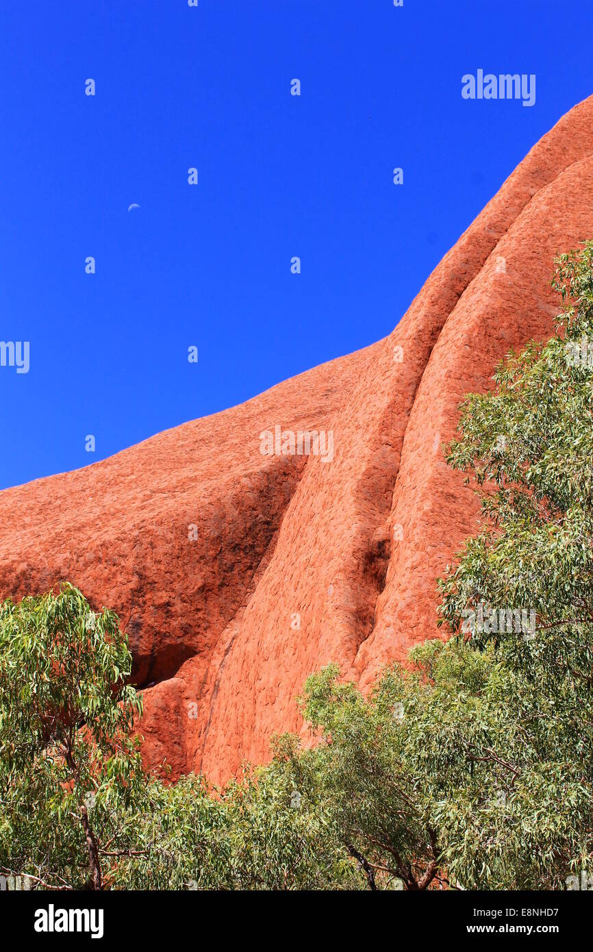 Uluru and tree and red and blue sky hi-res stock photography and images ...