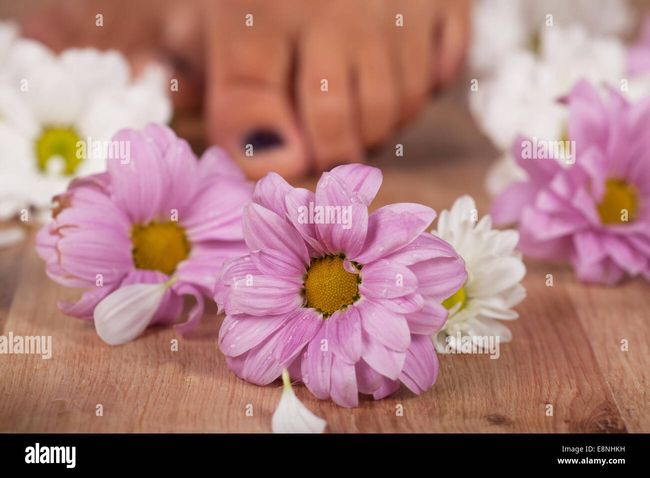 Feet flower toes hi-res stock photography and images - Alamy