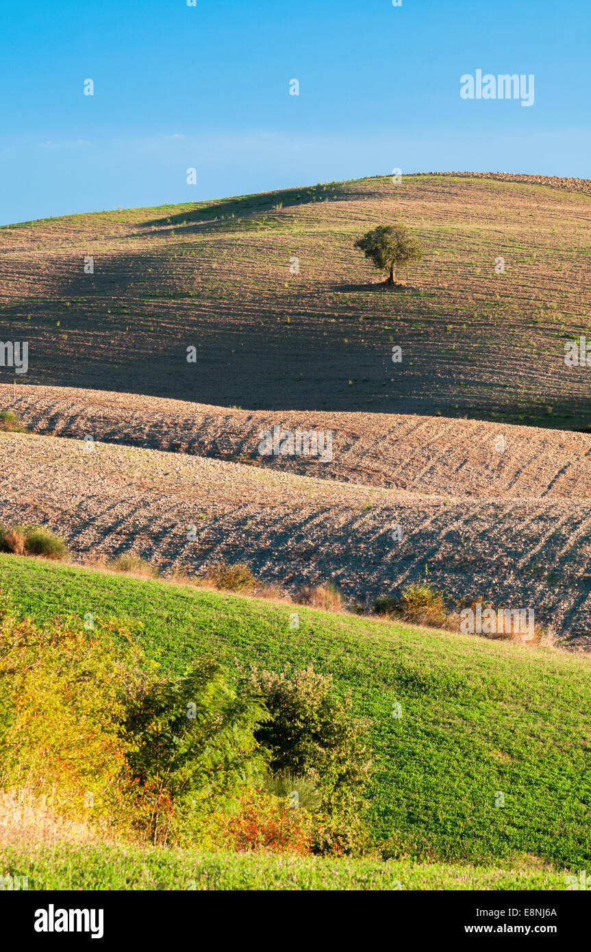 Autumn scenic landscape in Tuscany, Italy Stock Photo - Alamy