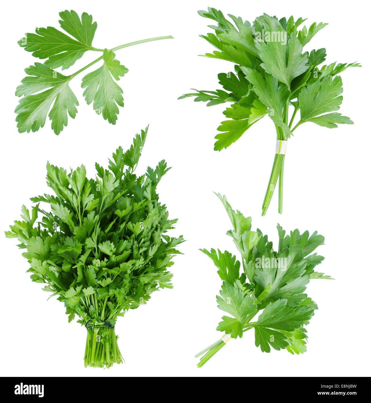 Set of fresh parsley Stock Photo - Alamy