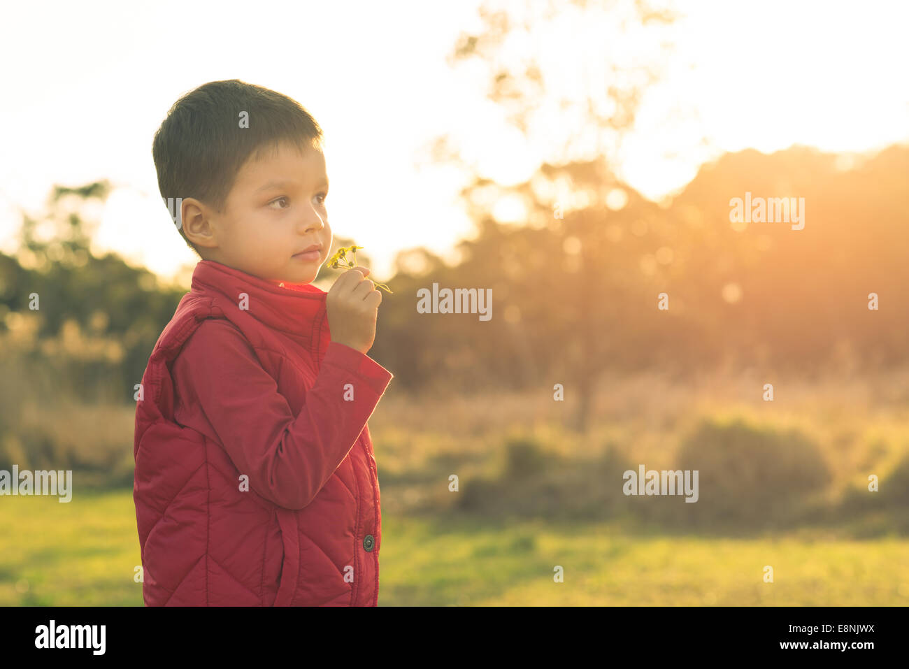 Spring in Australia Stock Photo - Alamy