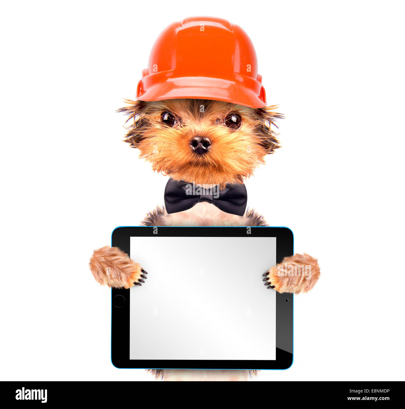 Dog house blank banner dog hi-res stock photography and images - Alamy