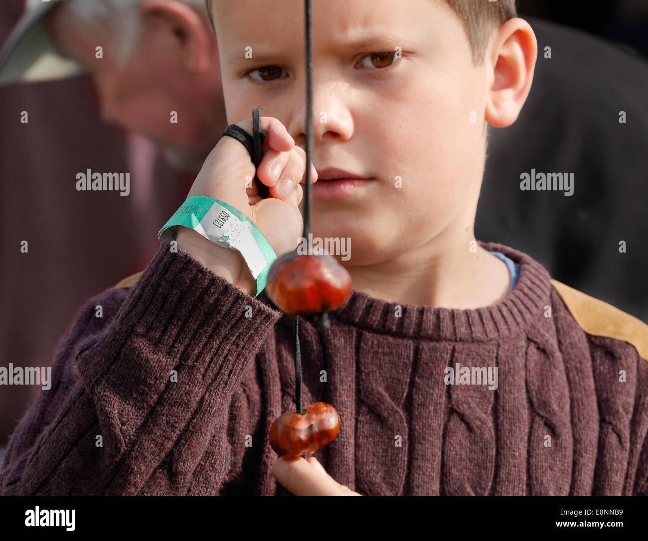 Conker competition hi-res stock photography and images - Alamy