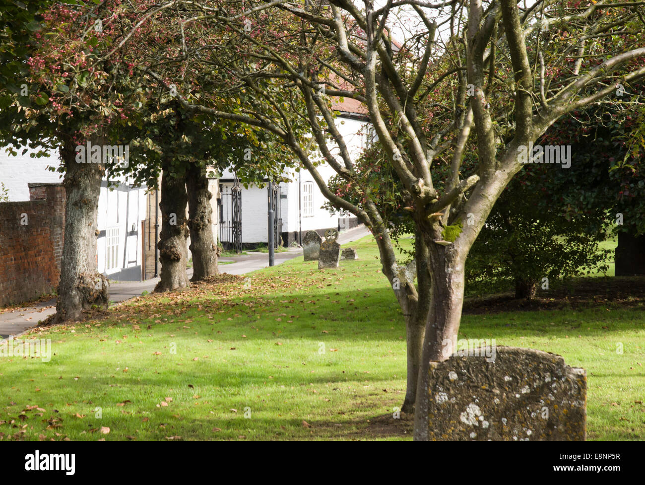 Devizes in Wiltshire England UK Churchyard Stock Photo - Alamy
