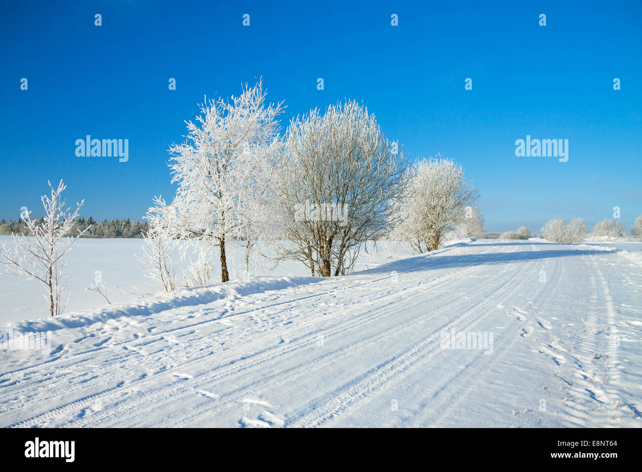 winter rural landscape with the road the forest and the blue sky Stock ...