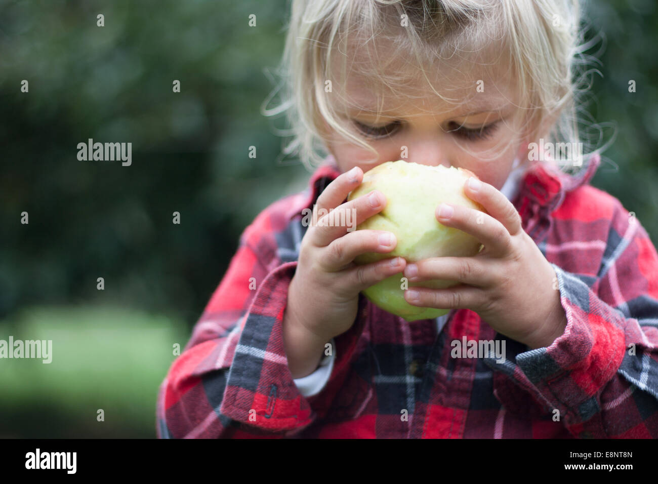 Boy has apple hi-res stock photography and images - Alamy