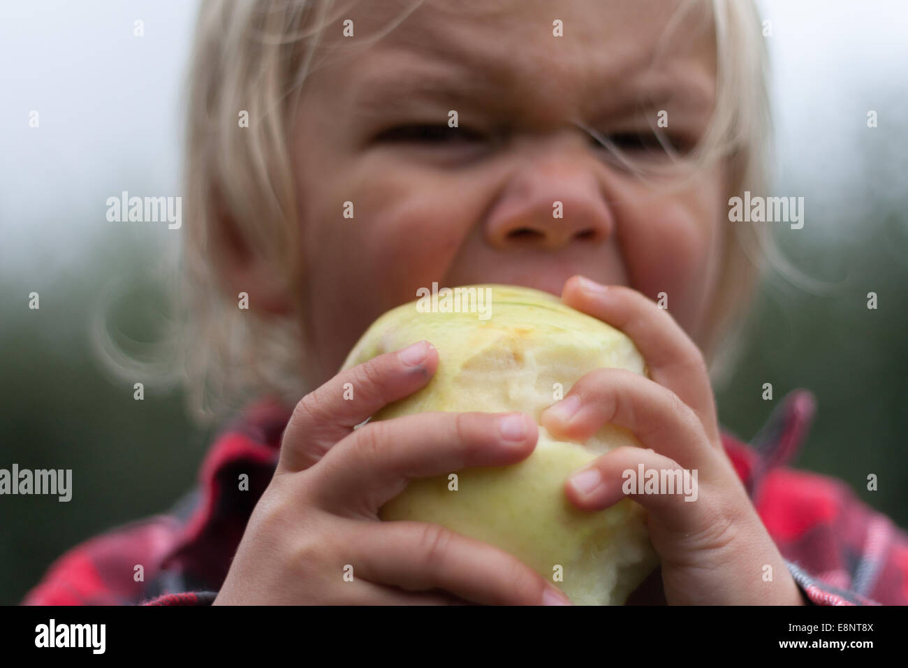 Boy eating apple hi-res stock photography and images - Alamy