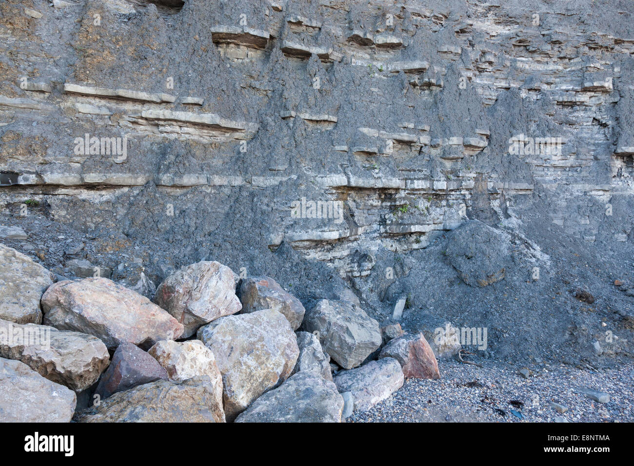 A lower portion of the World Heritage Jurassic cliffs showing the rock ...