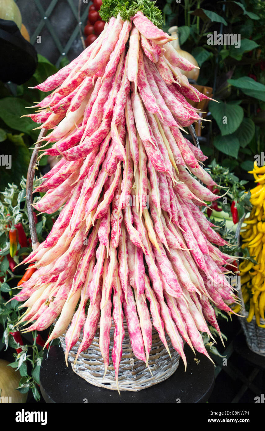Rob roy beans hi-res stock photography and images - Alamy