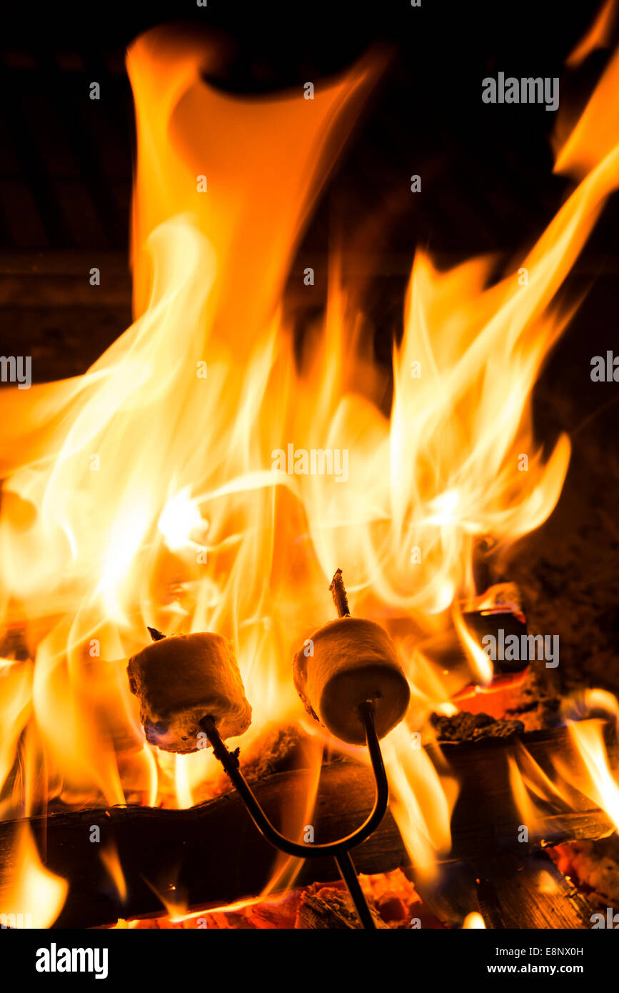 Roasting marshmallows in a campfire, St. Vrain State Park, Firestone ...