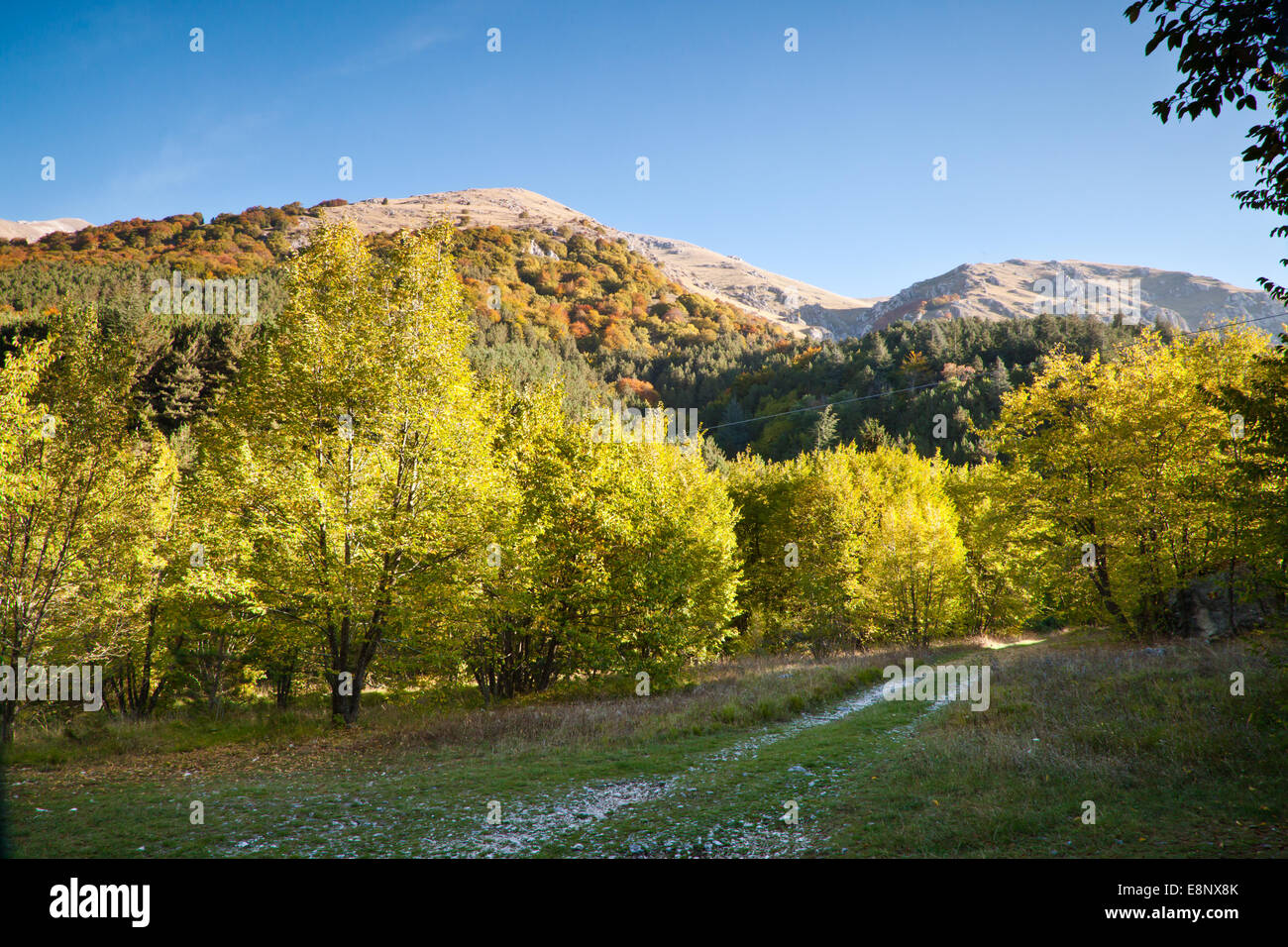 the mountain autumn landscape with colorful forest Stock Photo - Alamy